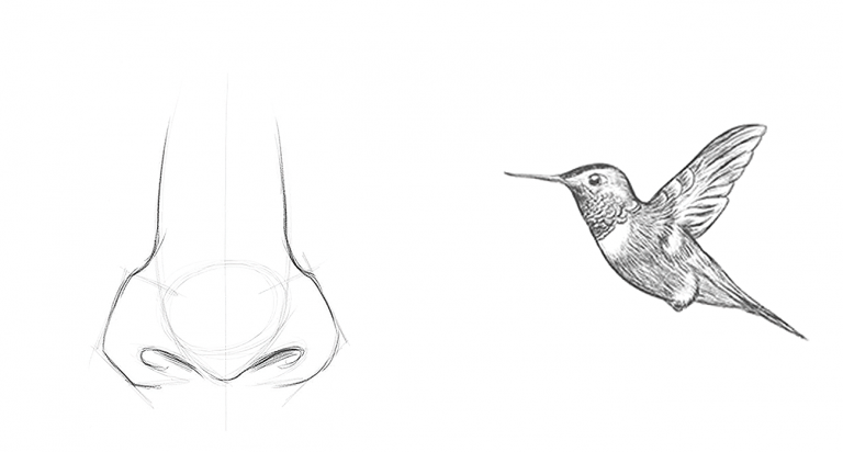 Deviatia de sept nazal - Brain Institute